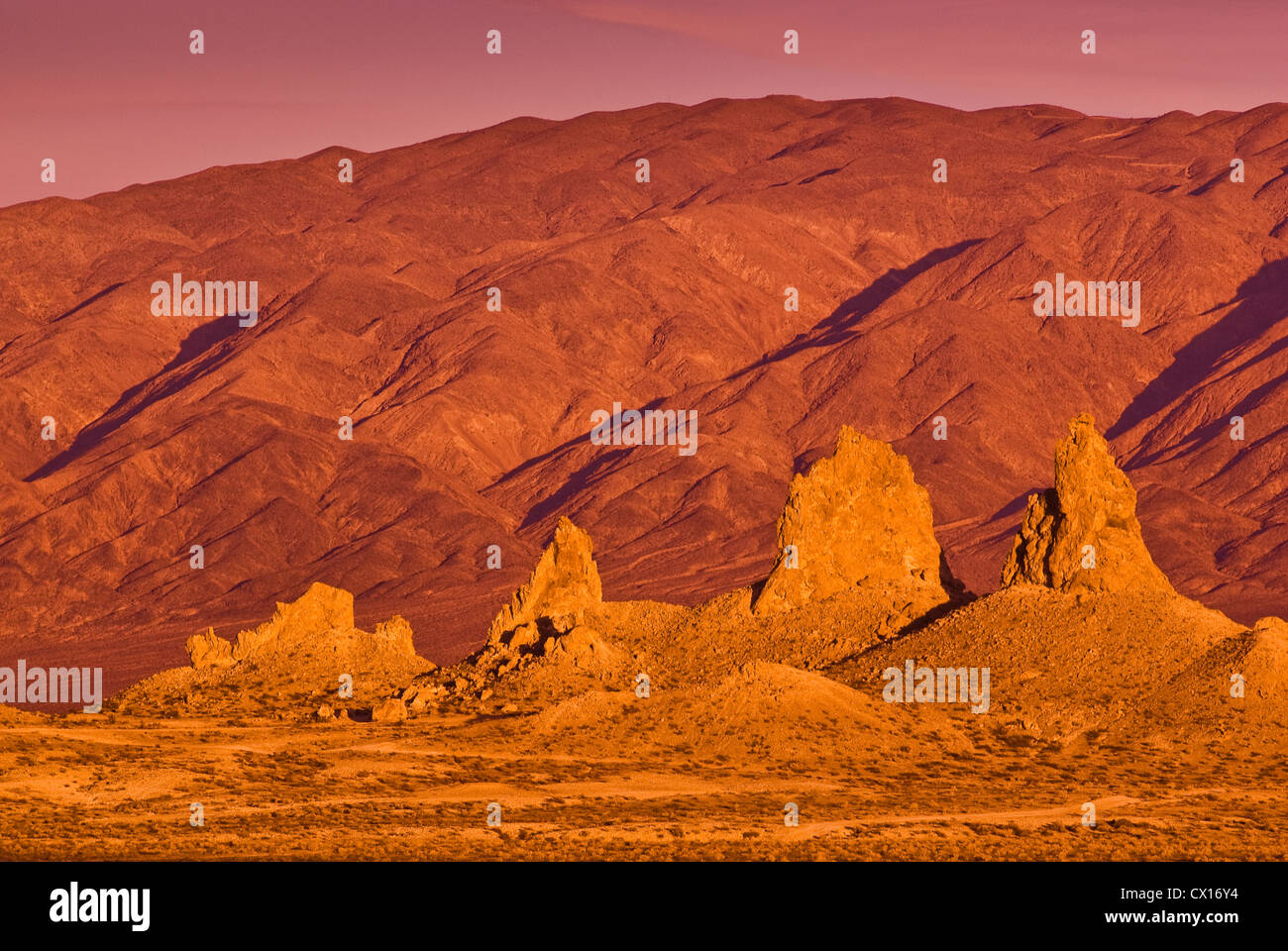 Argus range wilderness hi-res stock photography and images - Alamy