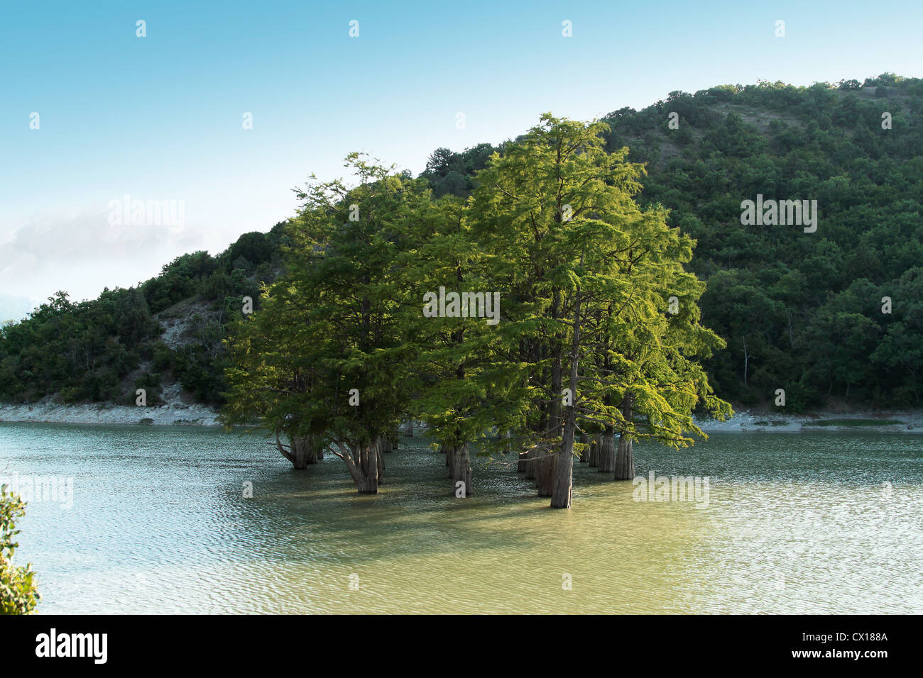Mountain lake cypress trees hi-res stock photography and images - Alamy