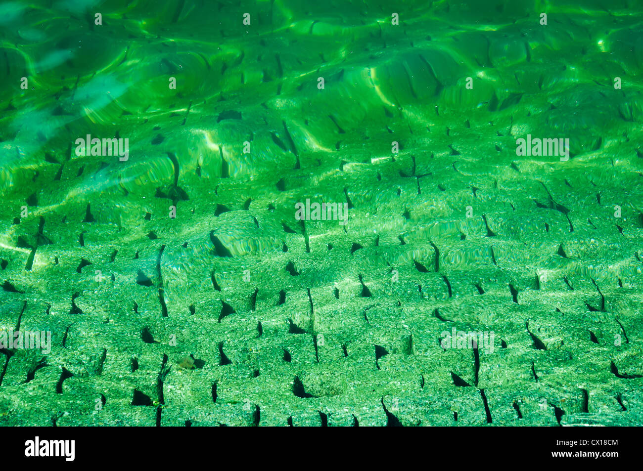Green water ripple with cement ground in water Stock Photo - Alamy