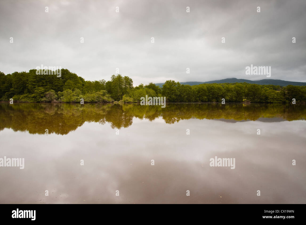 The Etang d'Aizy in the Morvan national park, France Stock Photo - Alamy