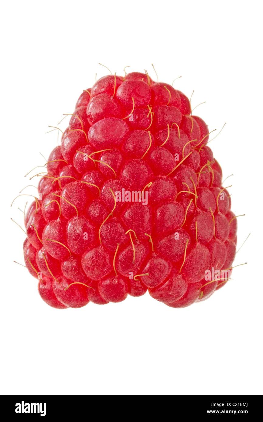 ripe red raspberry isolated on white background Stock Photo - Alamy