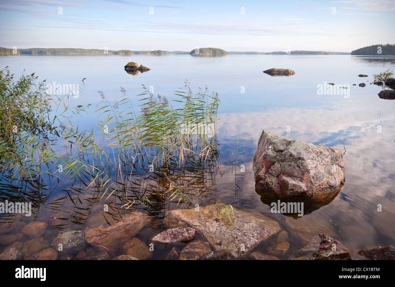 Coastal landscape with sedge and stones, Saimaa lake, Karelia, Finland ...