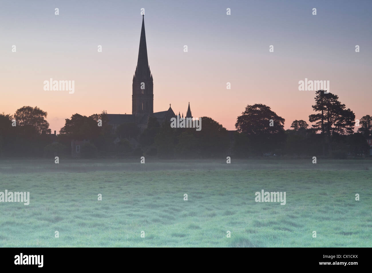 Looking across the west harnham water meadows towards Salisbury ...