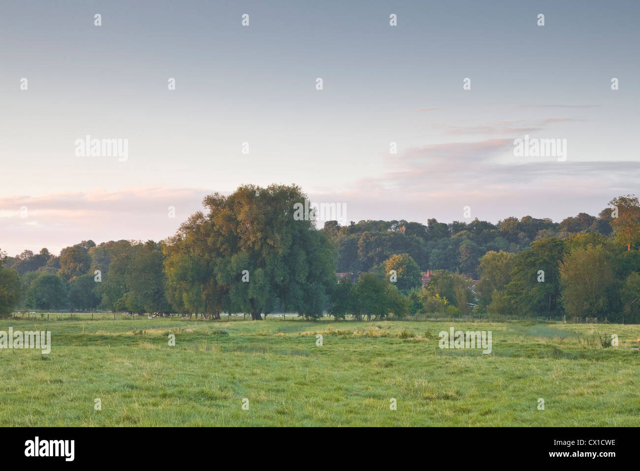 The West Harnham water meadows on the edge of Salisbury Stock Photo - Alamy