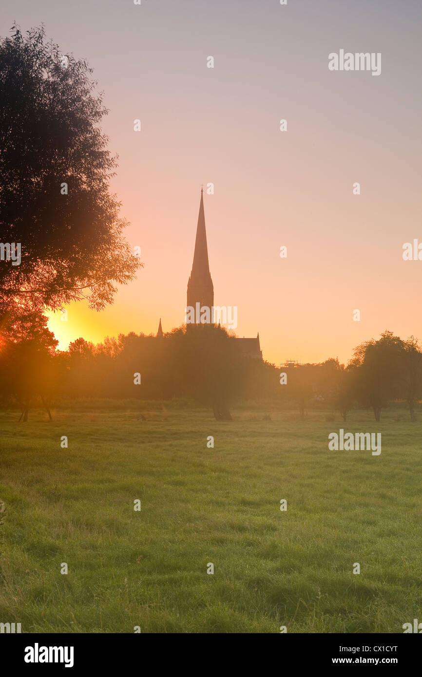 Looking across the west harnham water meadows towards Salisbury ...