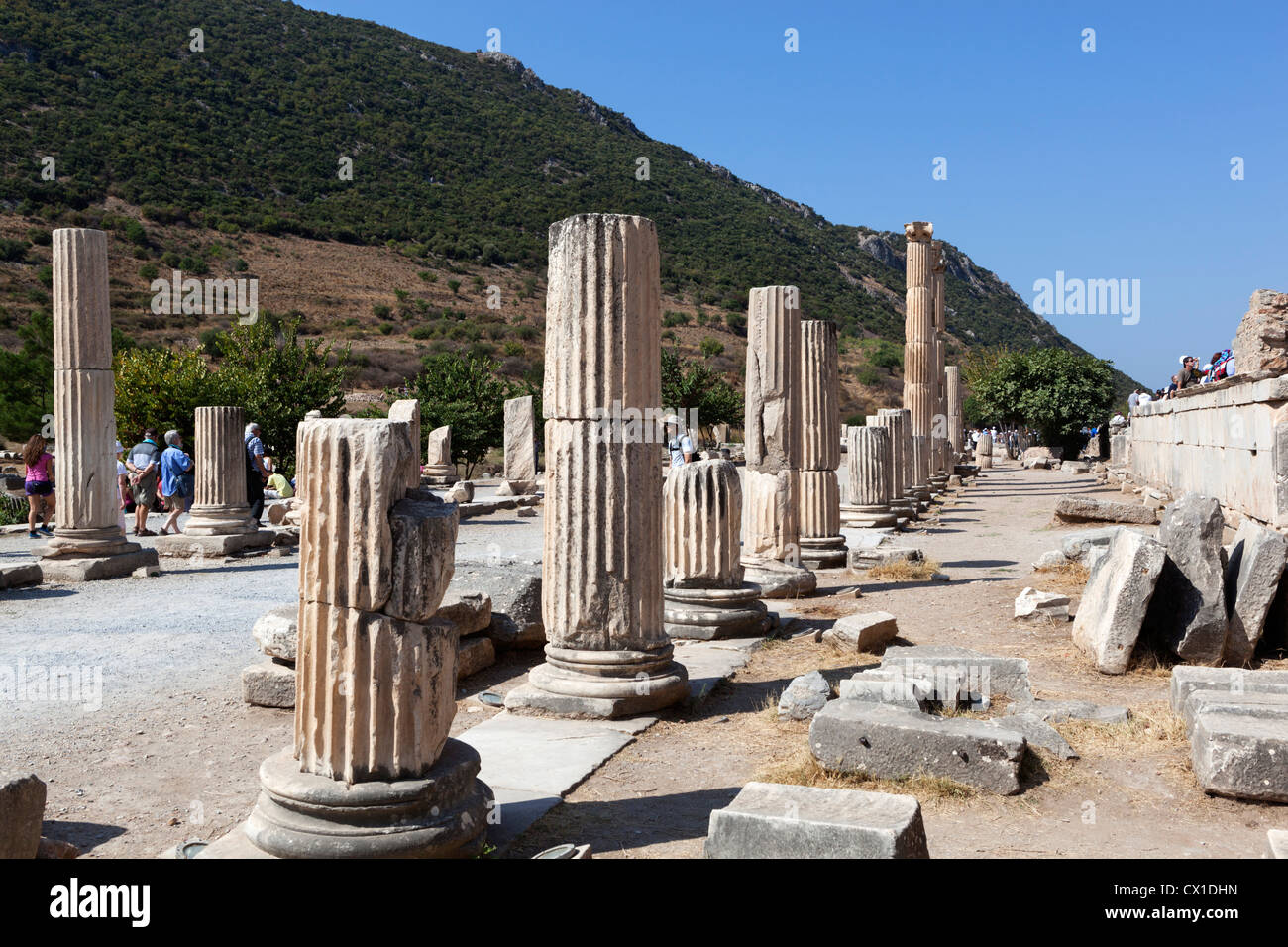 View of columns in ancient Roman city Stock Photo - Alamy
