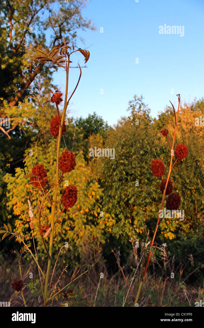 Sun shadow stick hi-res stock photography and images - Alamy