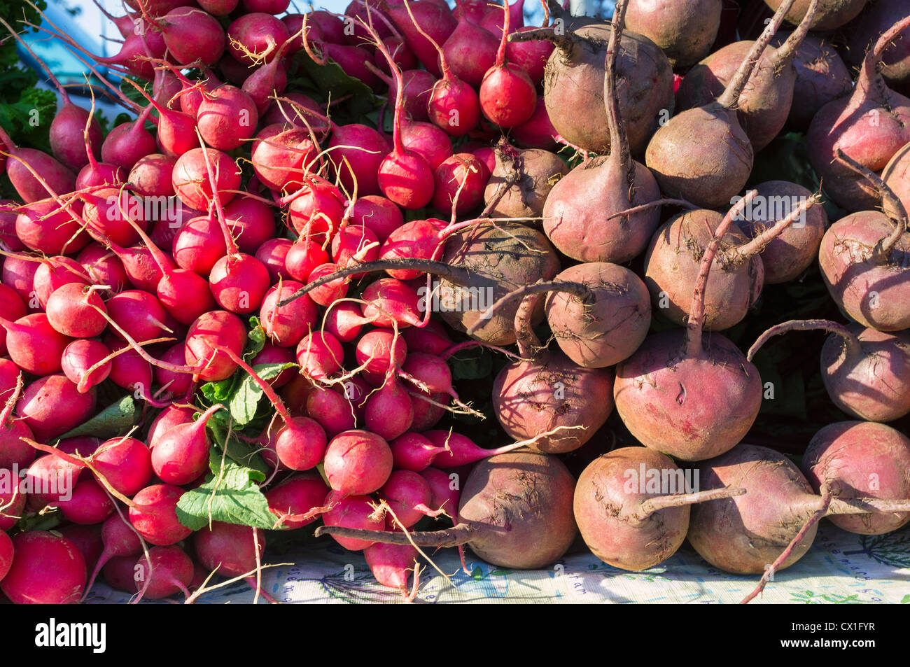 Red beets hi-res stock photography and images - Alamy