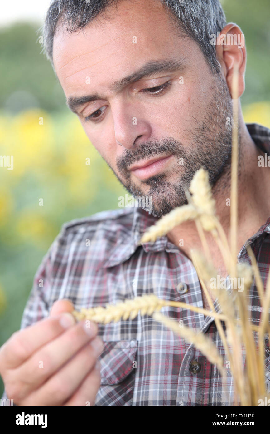 Man with spike Stock Photo - Alamy