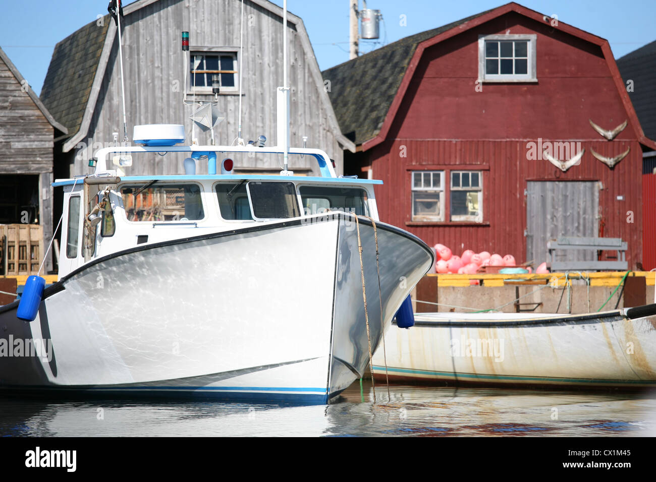 Lobster Fishing Prince Edward Island at Corrina Davis blog