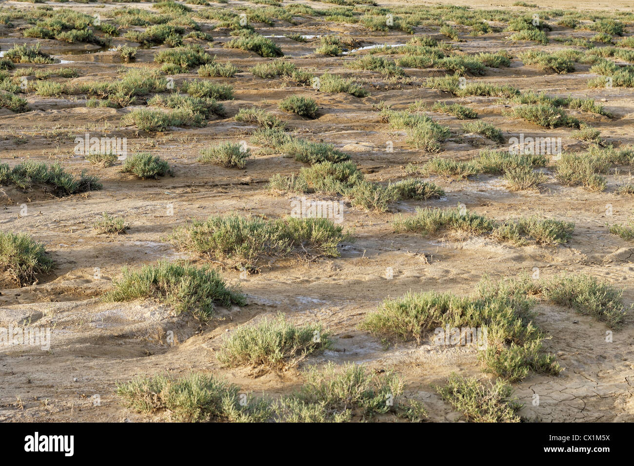 arid, background, barren, climate, climatic, deserted, dry, earth ...