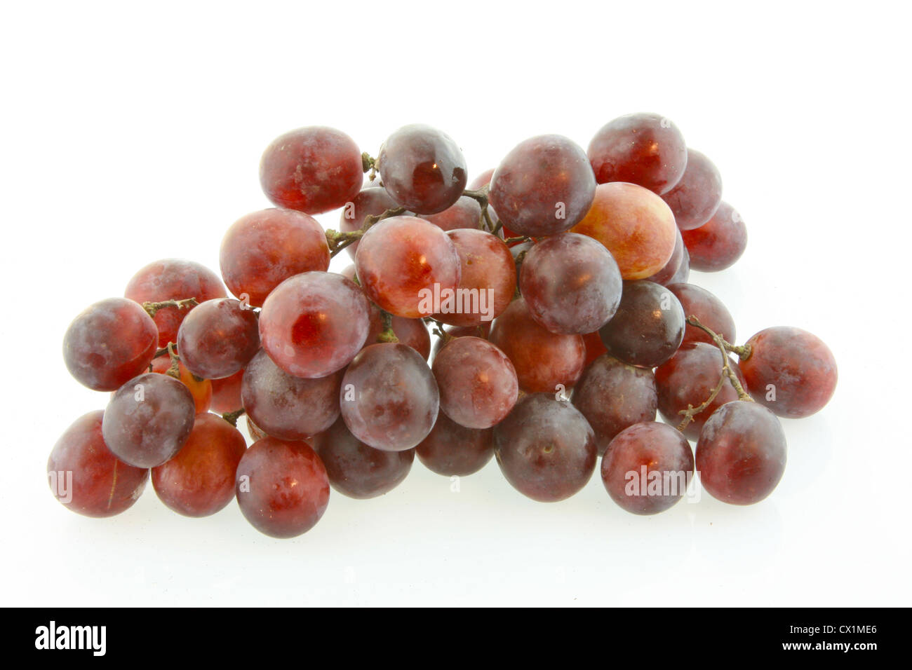 Vine grape plant close up Cut Out Stock Images & Pictures - Alamy