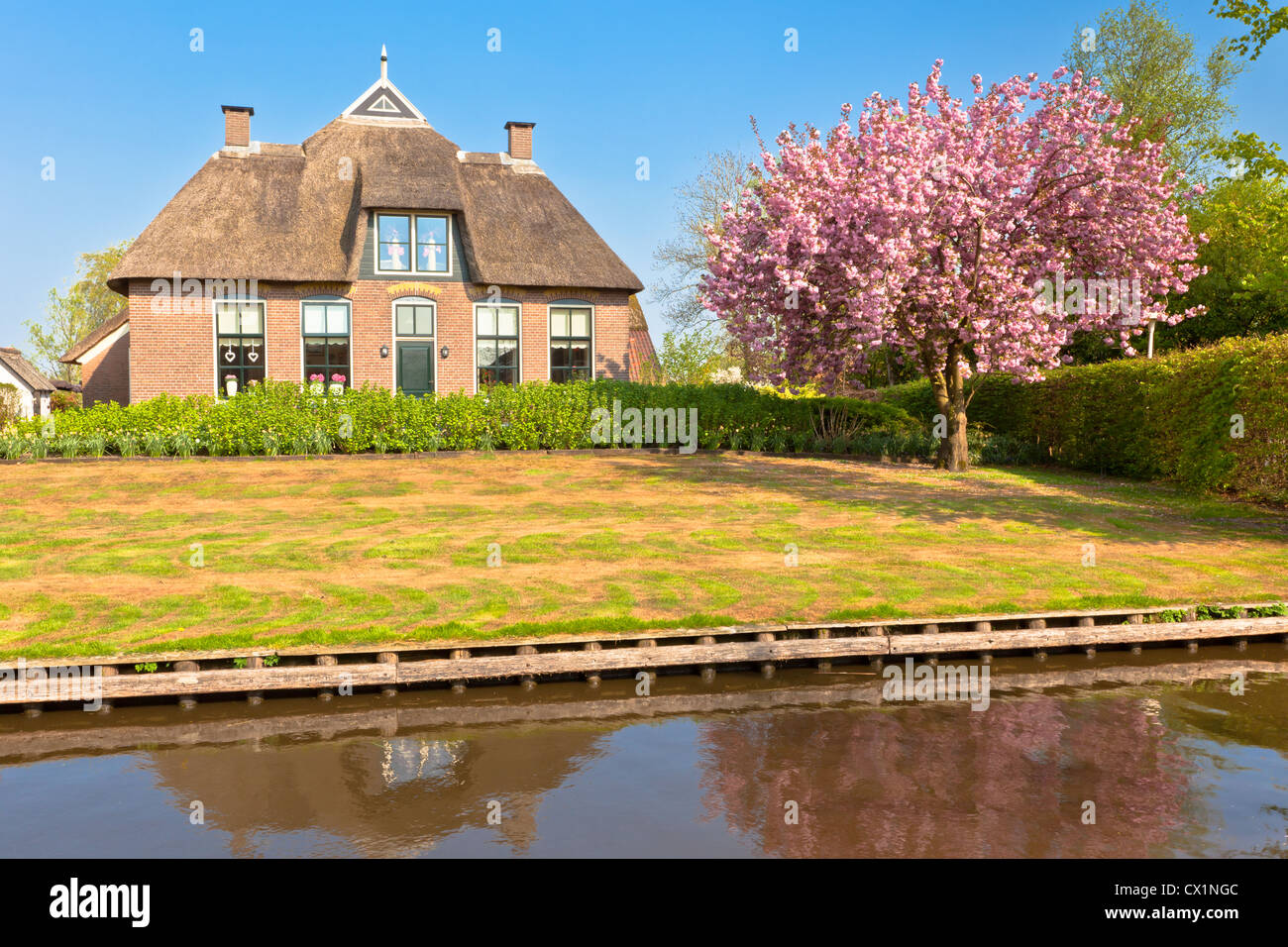 Beautiful traditional house with a thatched roof in a Dutch town of ...