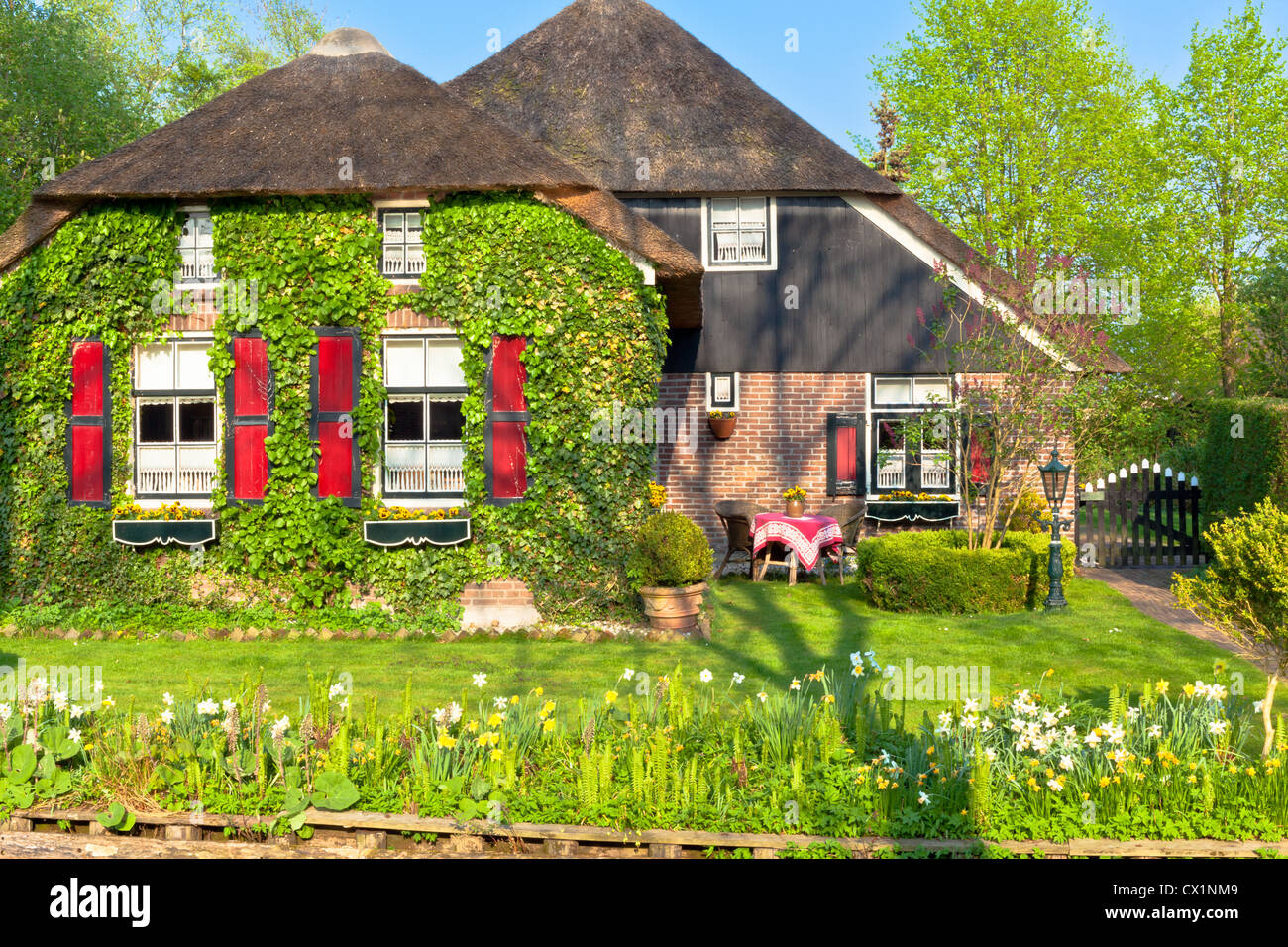Beautiful traditional house with a thatched roof in a Dutch town of ...