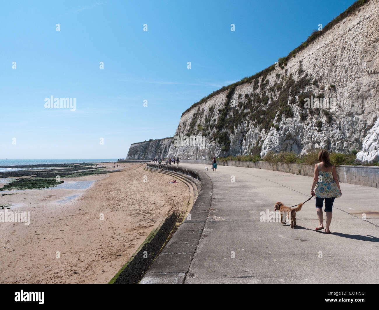 The cliffs at Louisa Bay in Broadstairs, Kent, England Stock Photo - Alamy