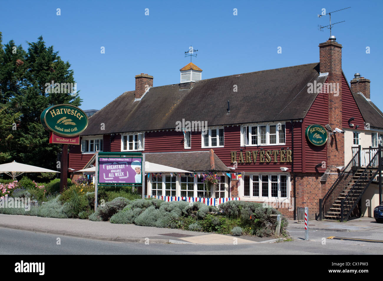 Are Dogs Allowed In Harvester Pubs