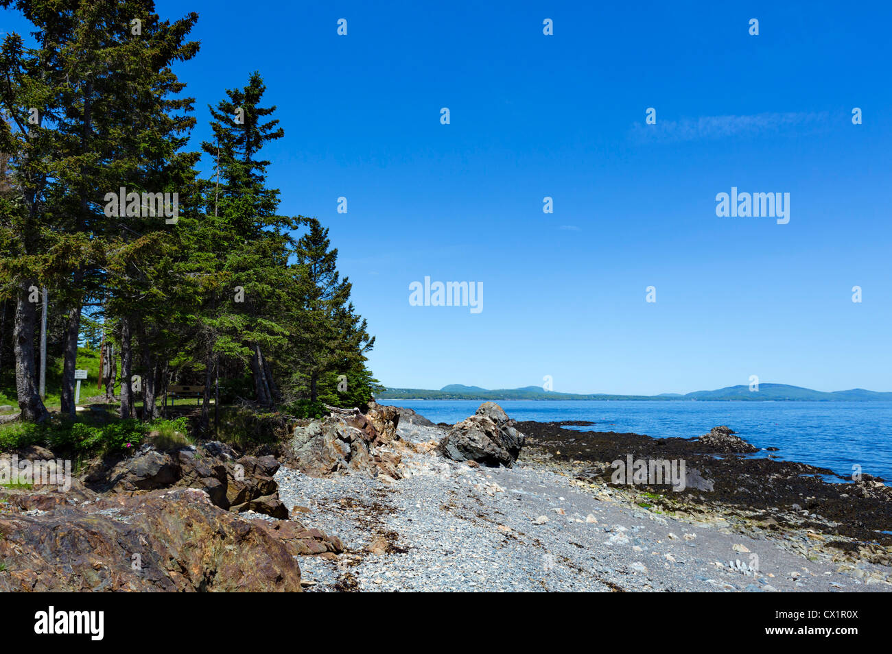 Owls head light hi-res stock photography and images - Alamy