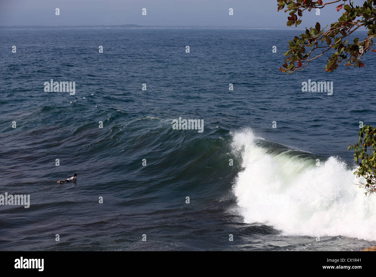 Girl surfing waves hi-res stock photography and images - Alamy