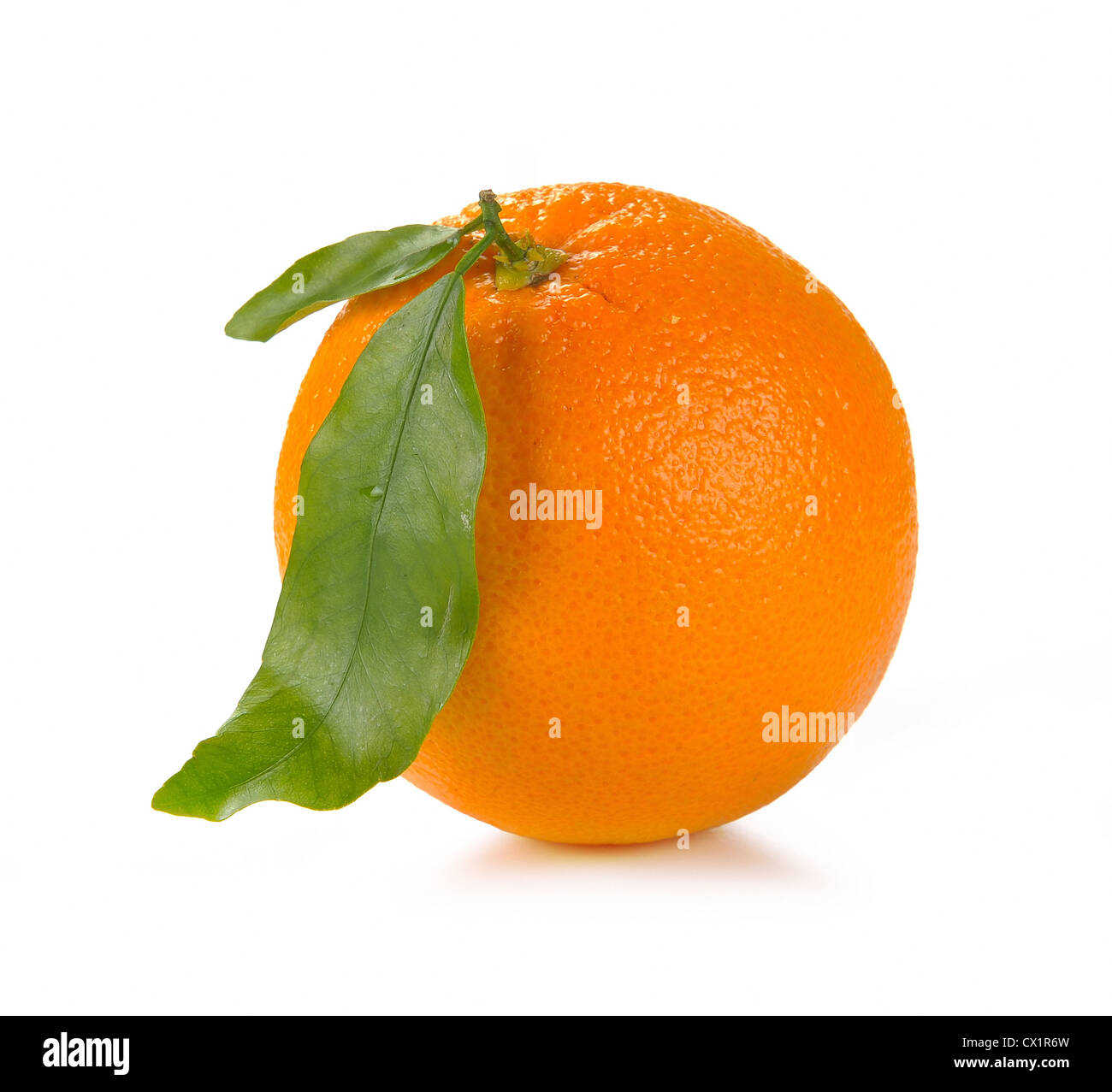 Orange branch fruit leaves Cut Out Stock Images & Pictures - Alamy