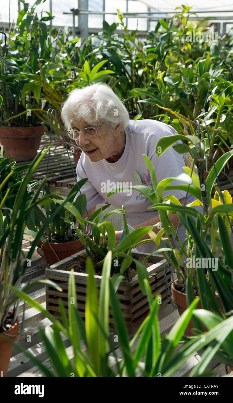 Matthaei garden hi-res stock photography and images - Alamy