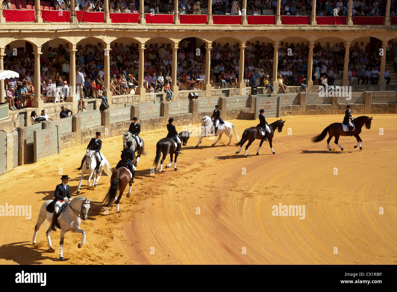 Alamy stock images horses hi-res stock photography and images - Alamy