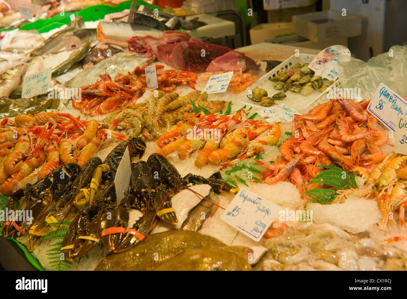 Shellfish in market stall inside hi-res stock photography and images ...