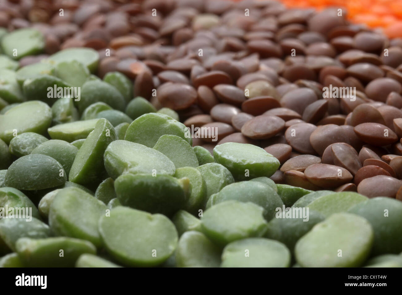 Various beans and lentils close up Stock Photo - Alamy
