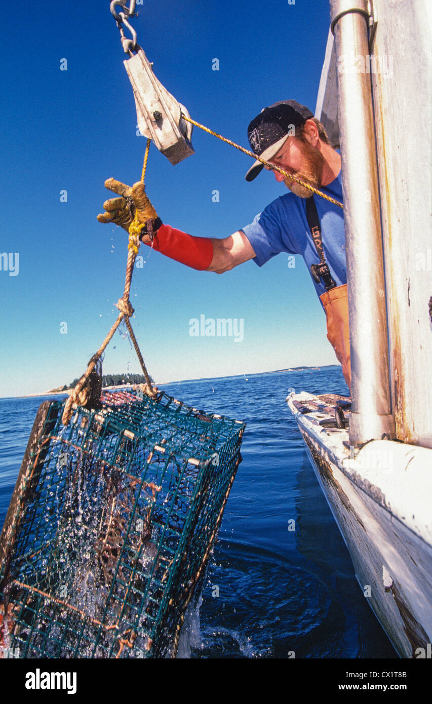 Lobster fisherman hauls out his traps along the mid-coast of Maine ...