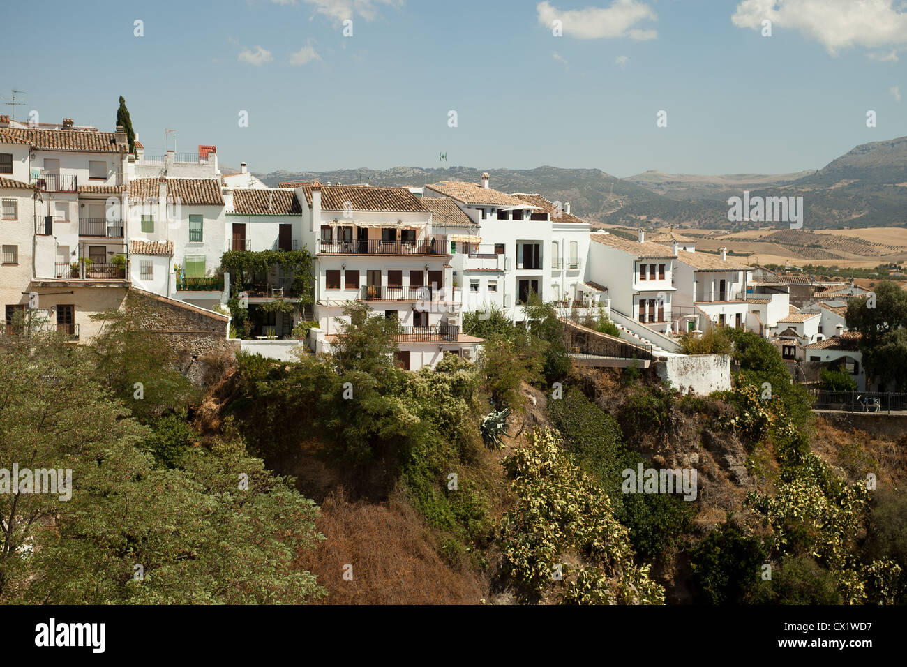 Alamy stock images horses hi-res stock photography and images - Alamy