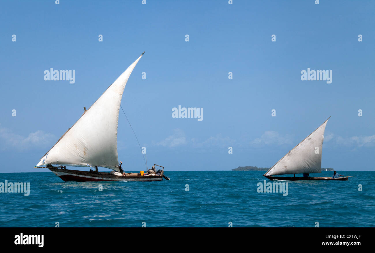 Two dhows sailing on the Indian Ocean between Prison Island and ...