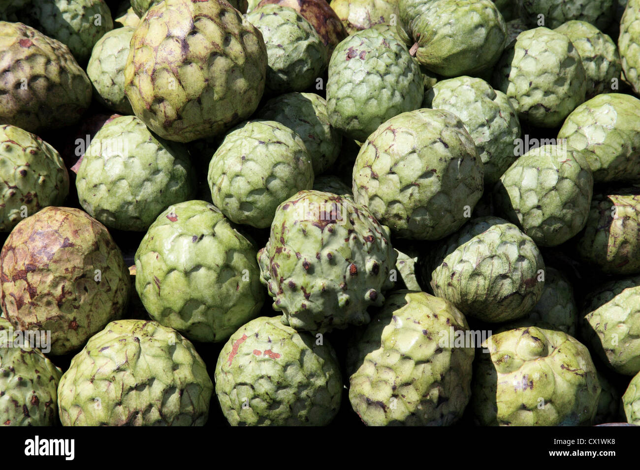 Cherimoya fruits hi-res stock photography and images - Alamy