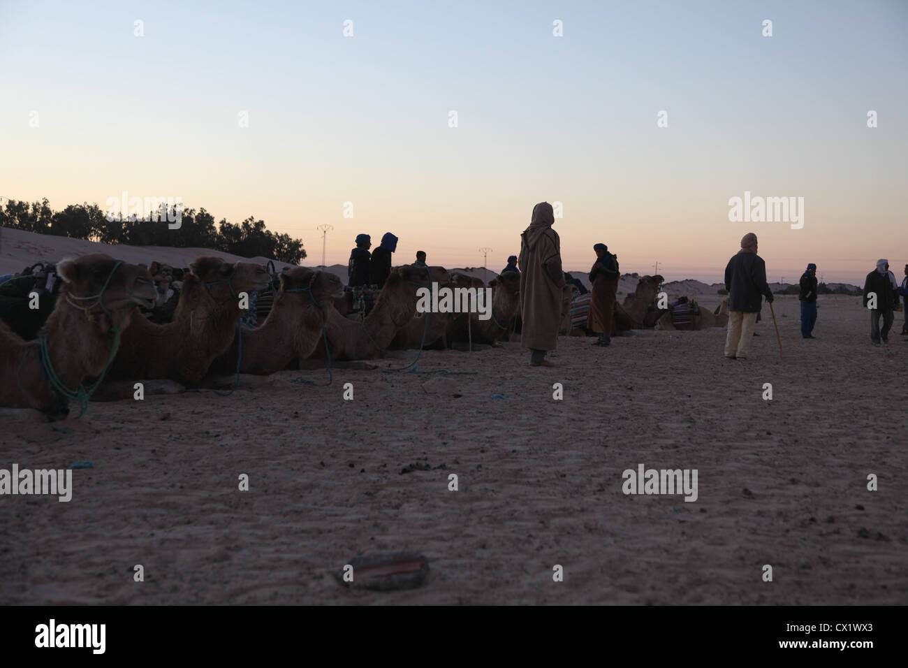 Morning in Sahara desert Stock Photo - Alamy