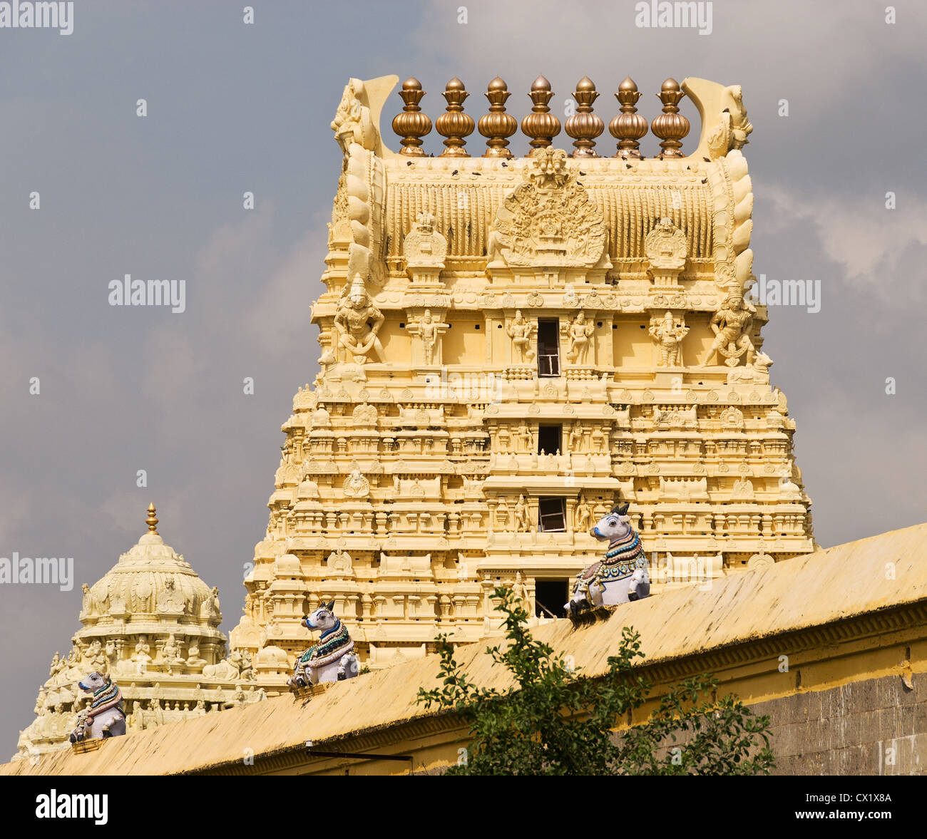 Kanchipuram temple hi-res stock photography and images - Alamy