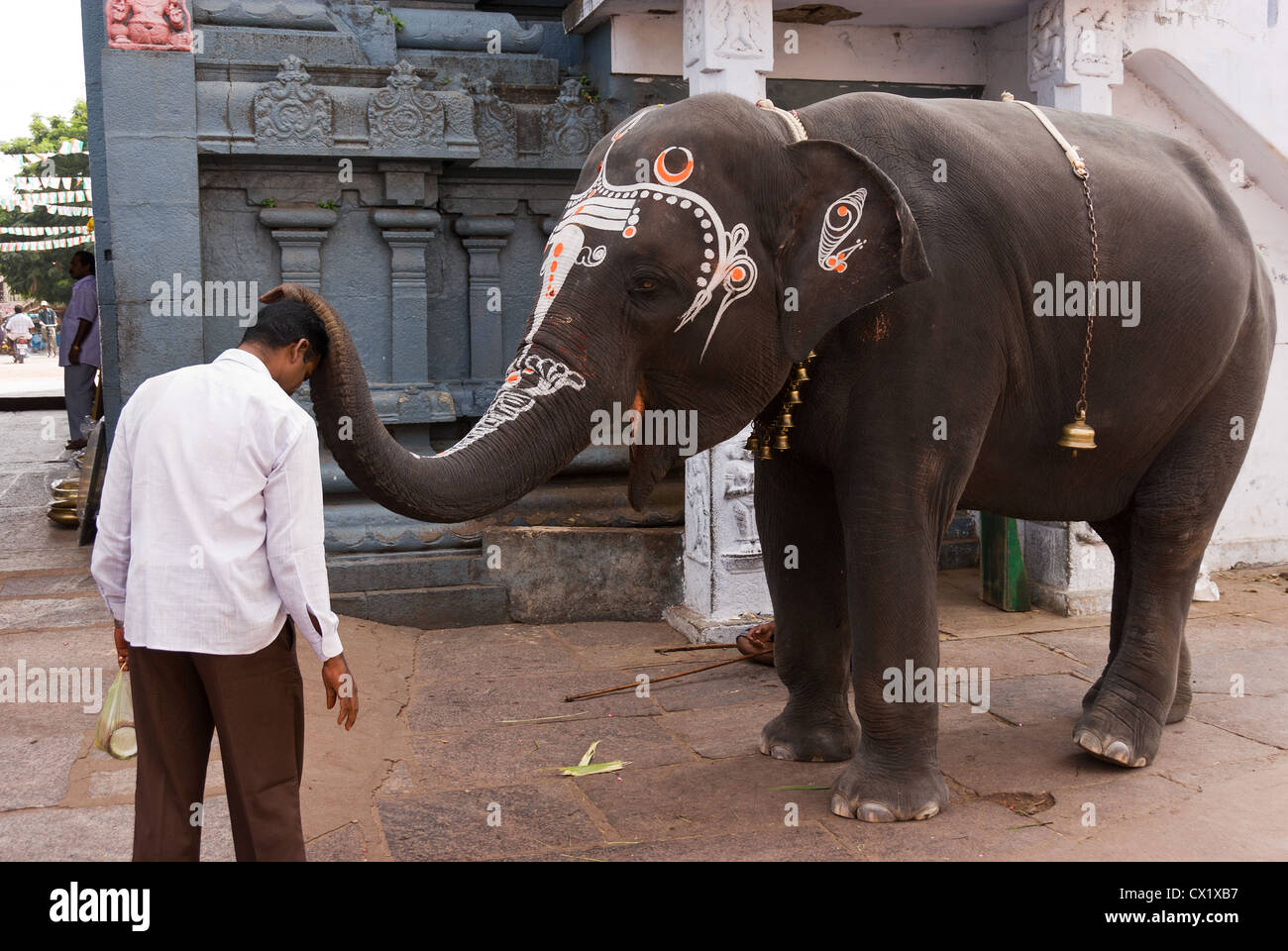 Elk201-4177 India, Tamil Nadu, Kanchipuram, Sri Kanobi Kamakodi Temple ...