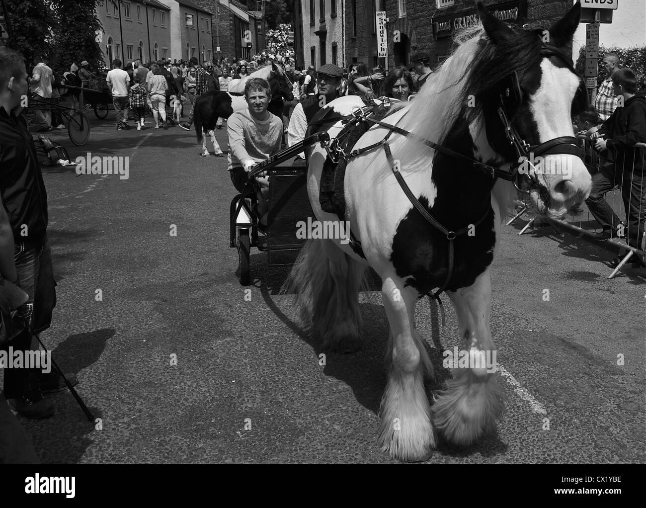 the annual gypsy horse fair in Appleby, westmorland, northwest england ...