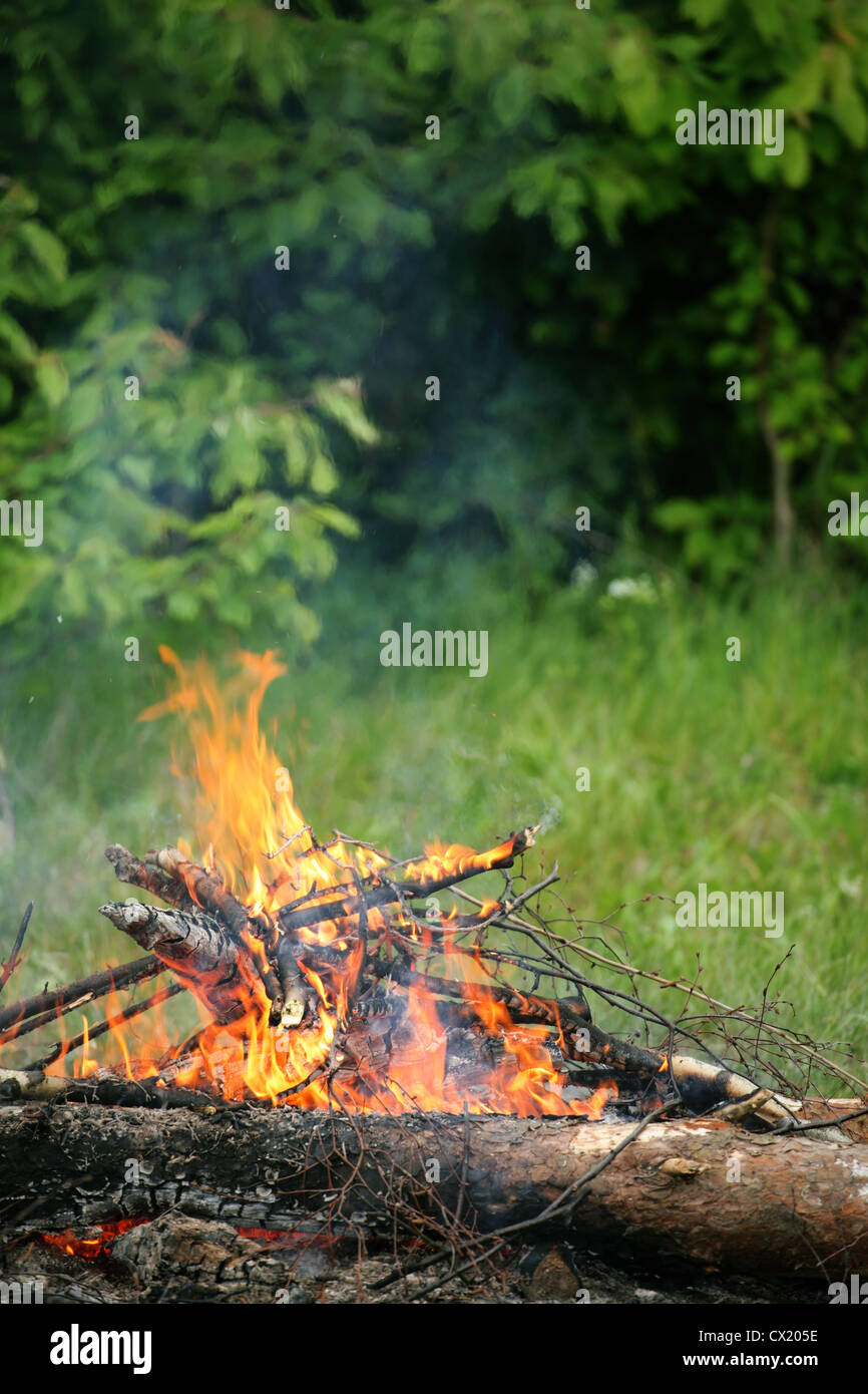 bonfire, campfire in the summer forest Stock Photo - Alamy