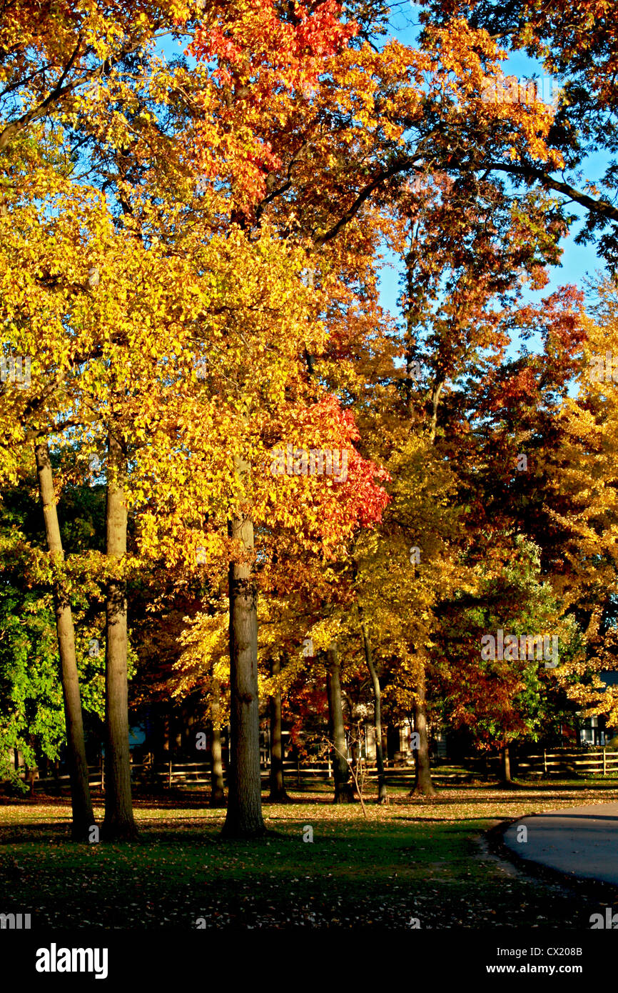 Fall Day at the park Stock Photo - Alamy