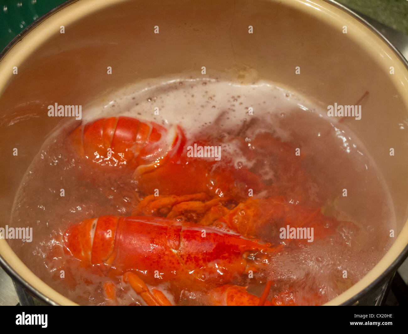 Lobster bands hi-res stock photography and images - Alamy