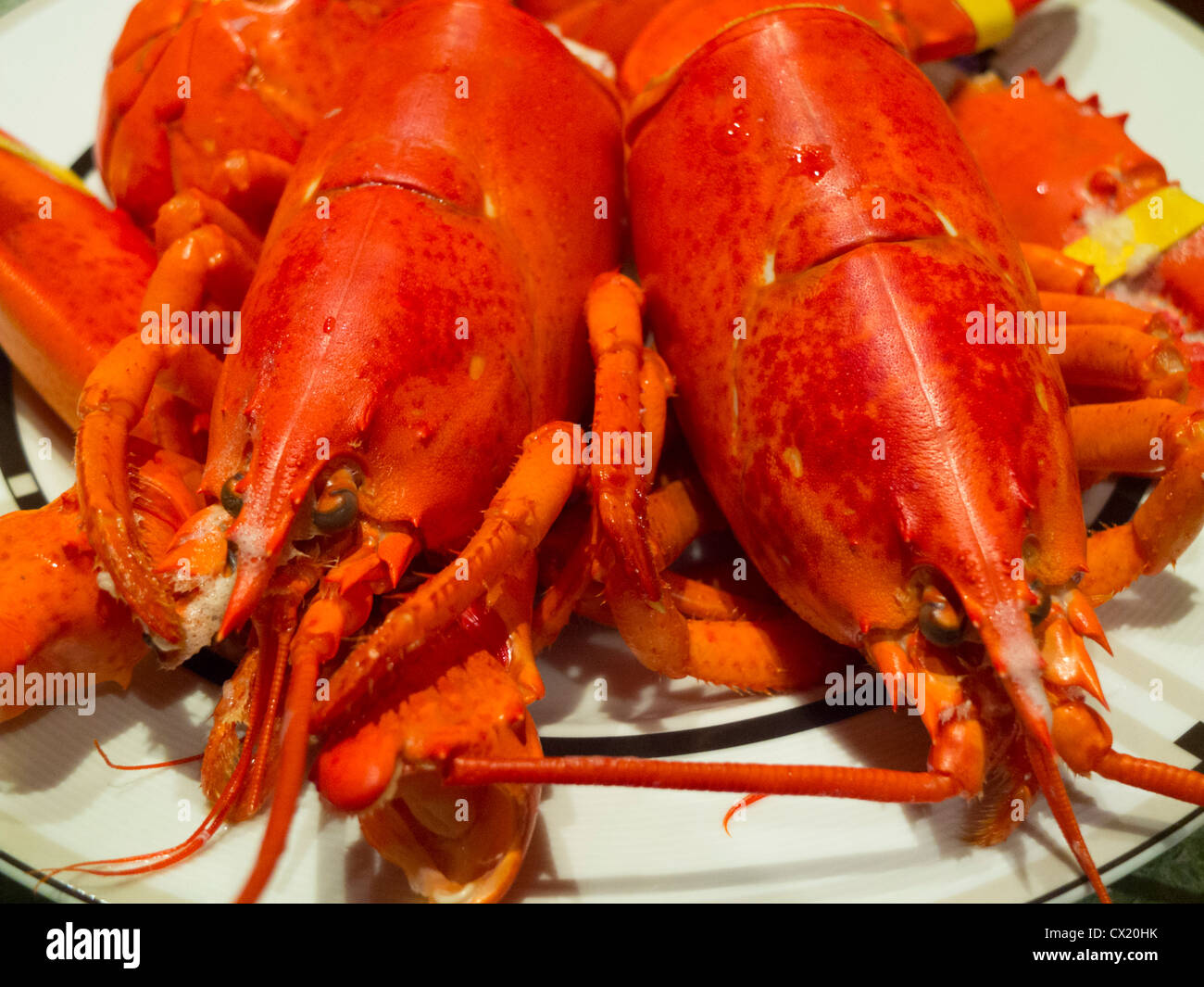 Lobster bands hi-res stock photography and images - Alamy