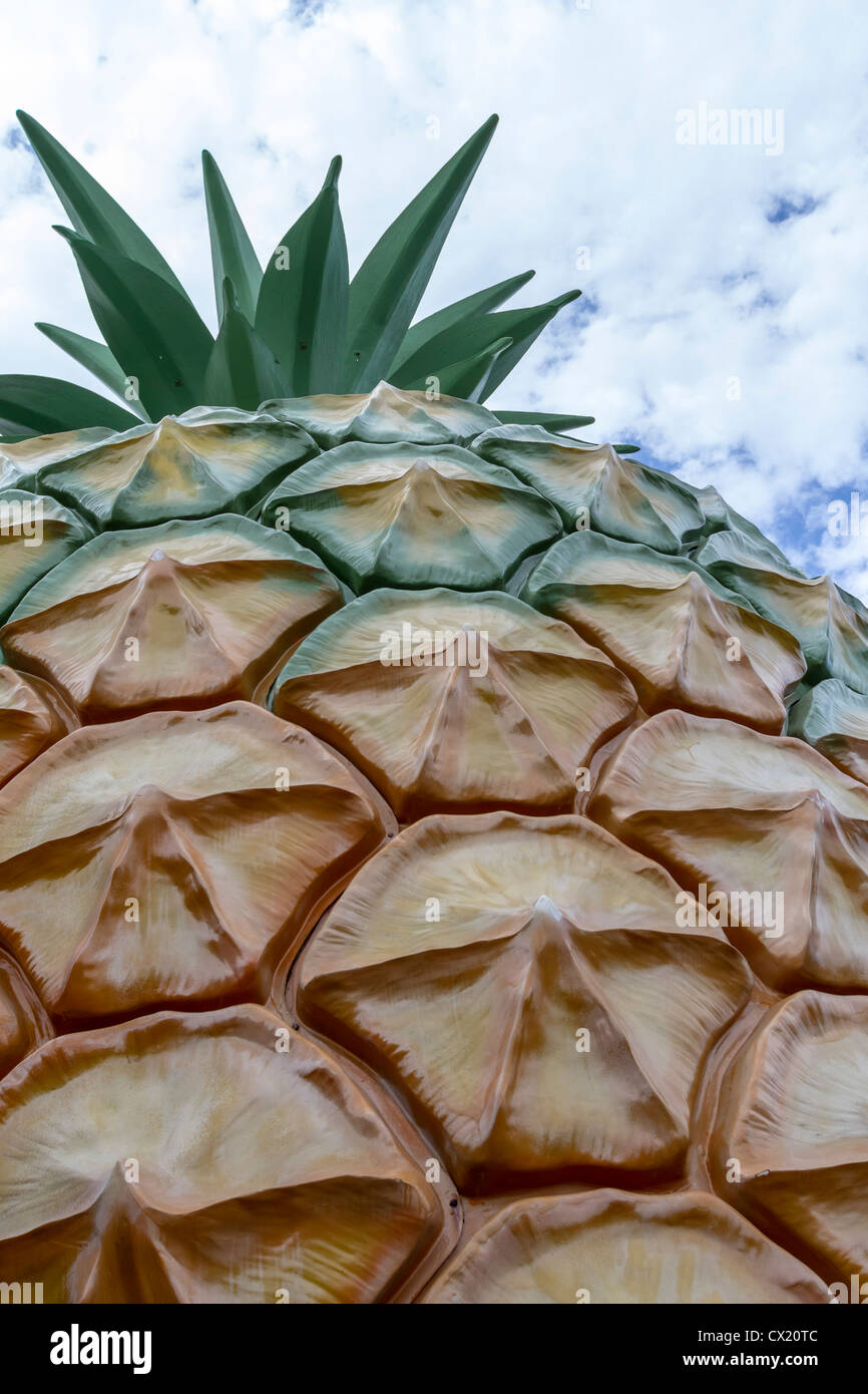 The Big Pineapple is a tourist attraction on the Sunshine Coast in ...