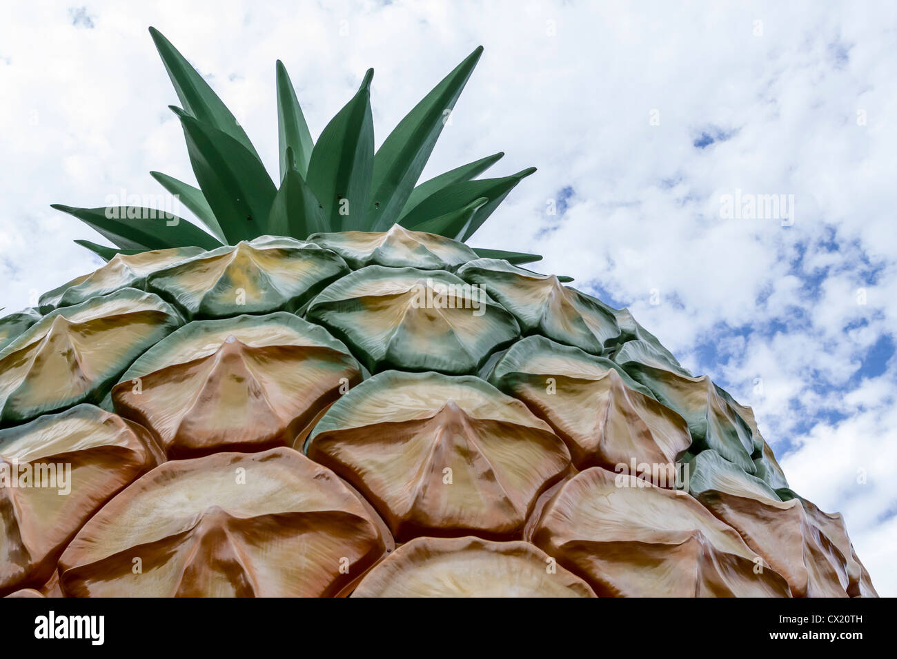 The Big Pineapple is a tourist attraction on the Sunshine Coast in ...