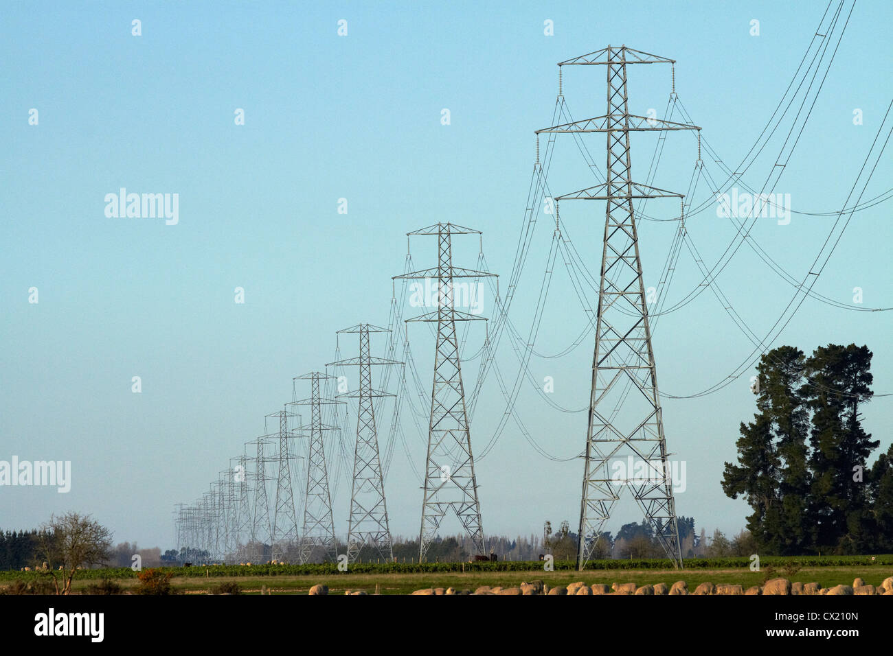 Large power poles pylons hi-res stock photography and images - Alamy