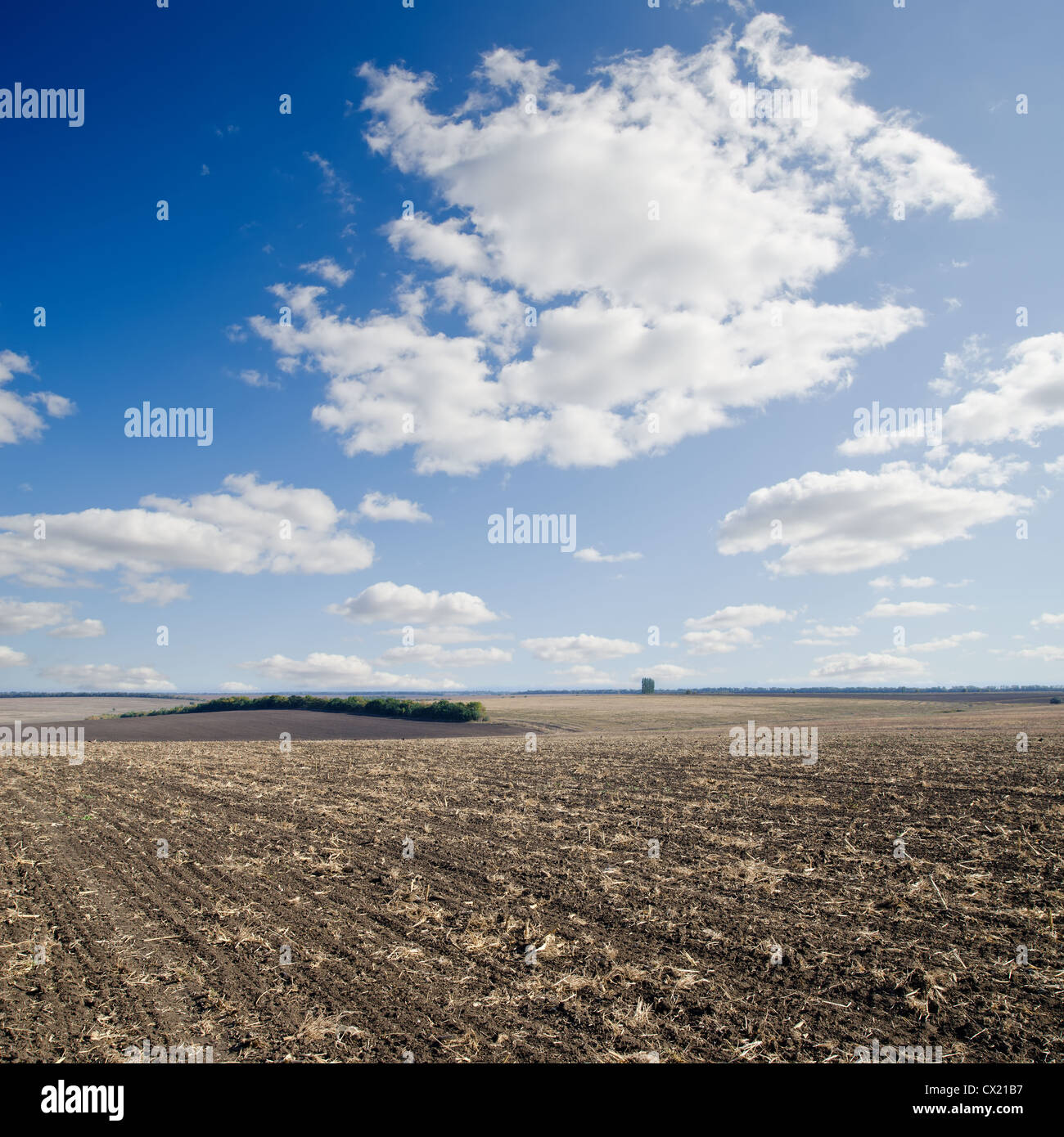 black field after harvesting Stock Photo - Alamy