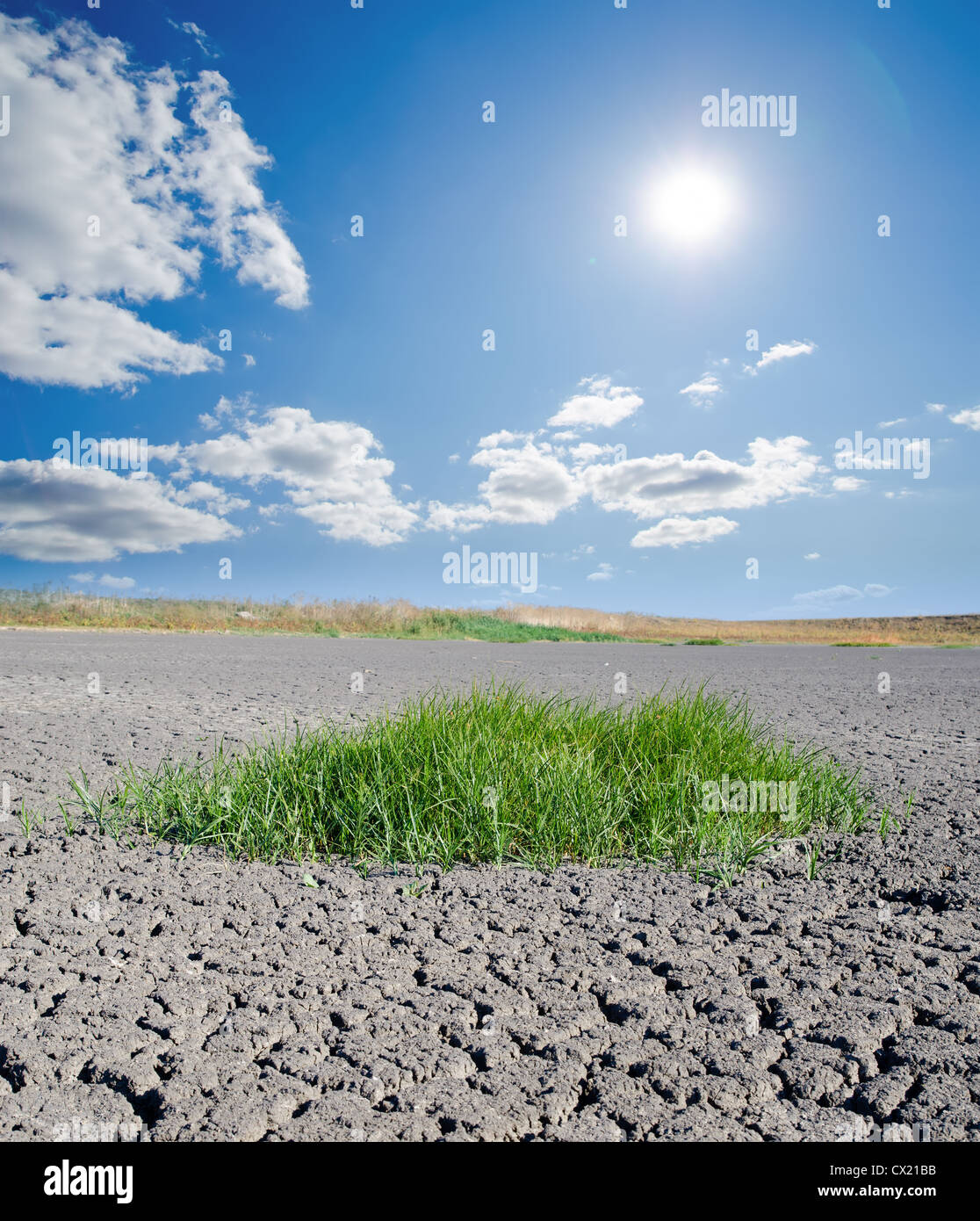 Drought hi-res stock photography and images - Alamy