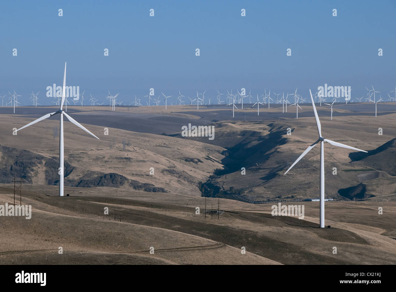 Wind Turbines in Washington Stock Photo - Alamy