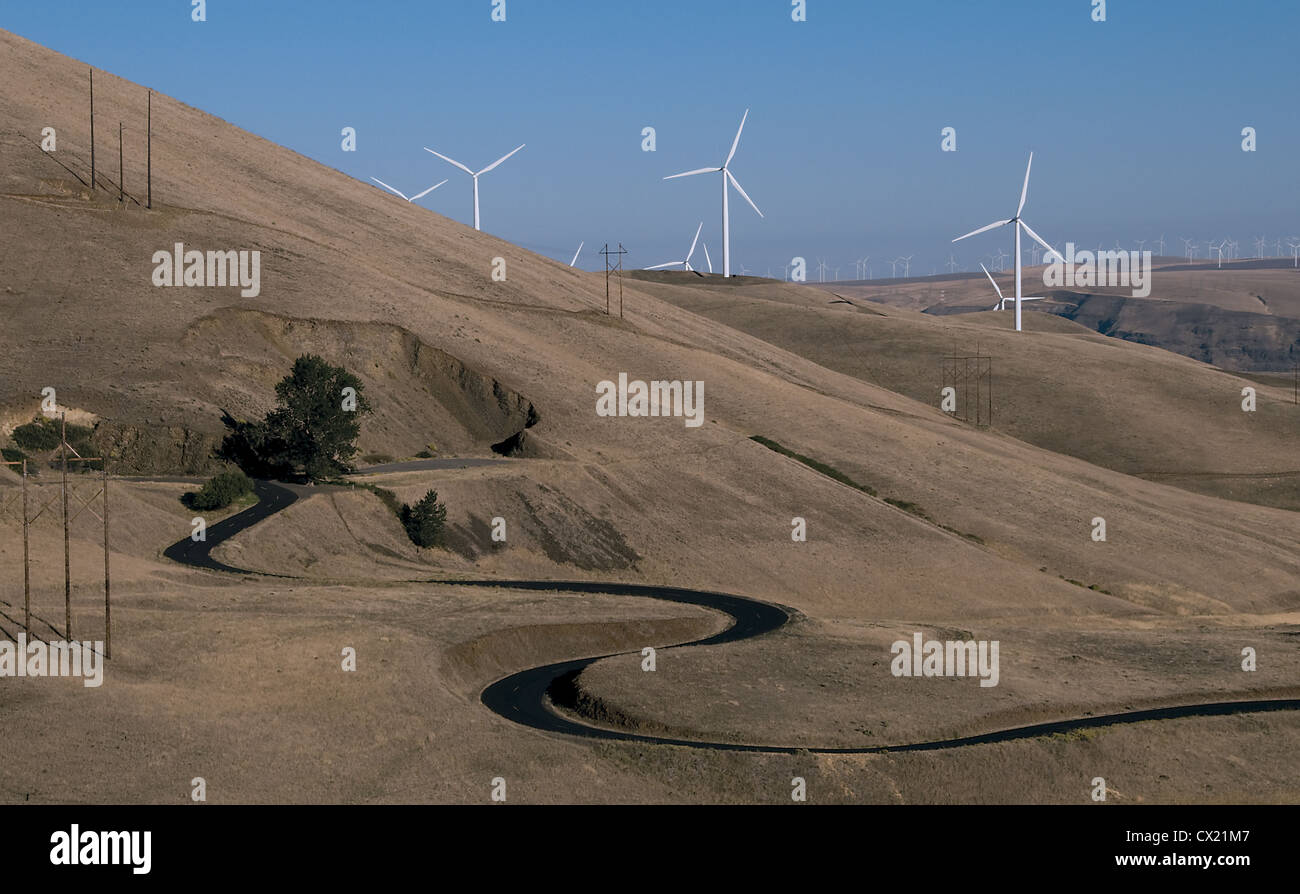 Winding road at wind farm in Washington with turbines Stock Photo - Alamy