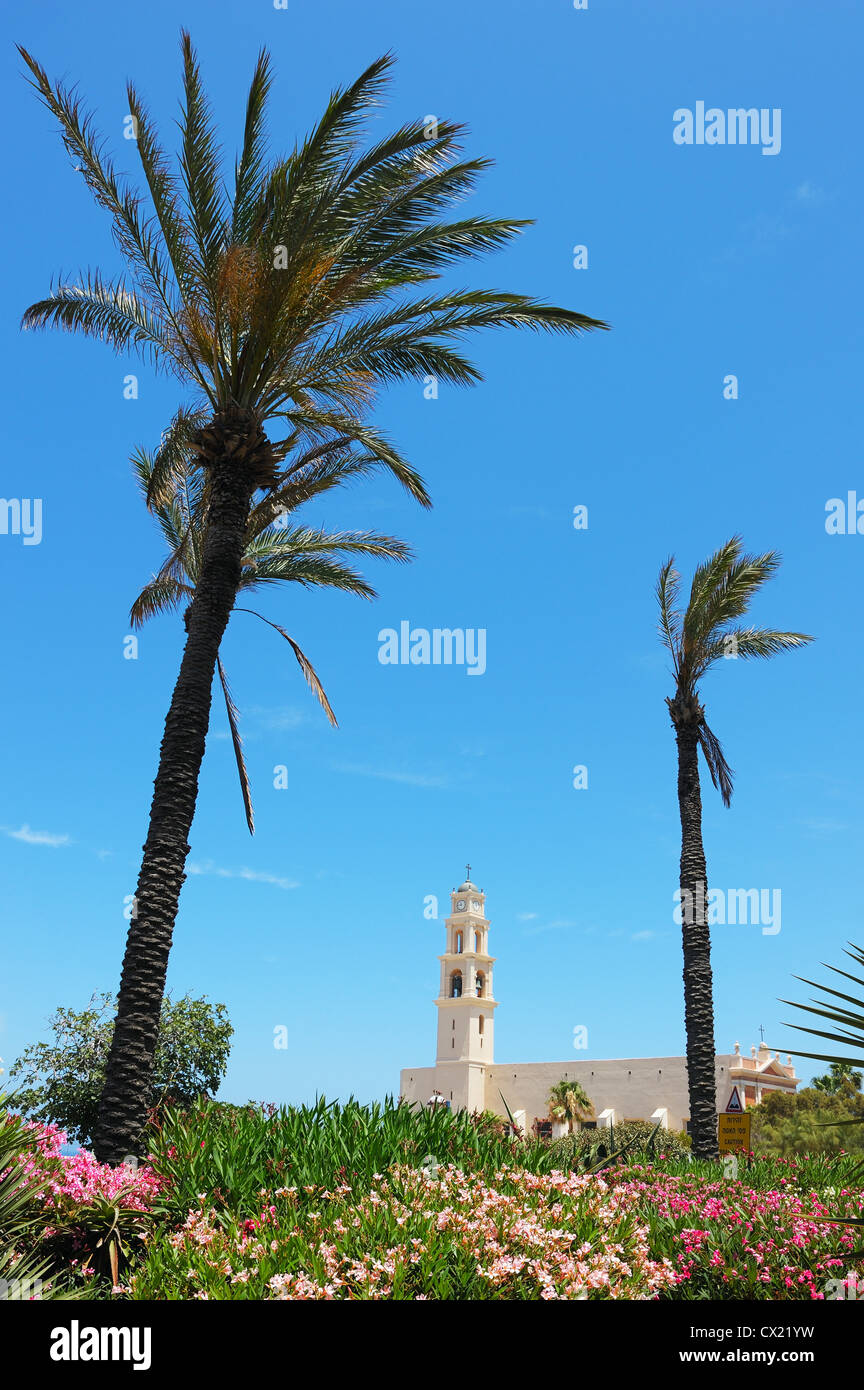 The streets, houses and trees of Old Jaffa Stock Photo - Alamy