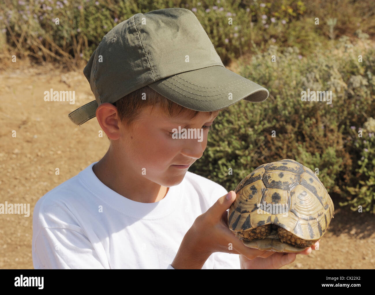 Boy with turtle hi-res stock photography and images - Alamy