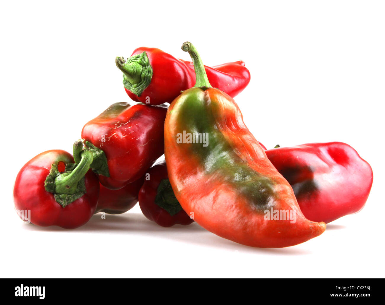 Red chilli peppers Stock Photo - Alamy