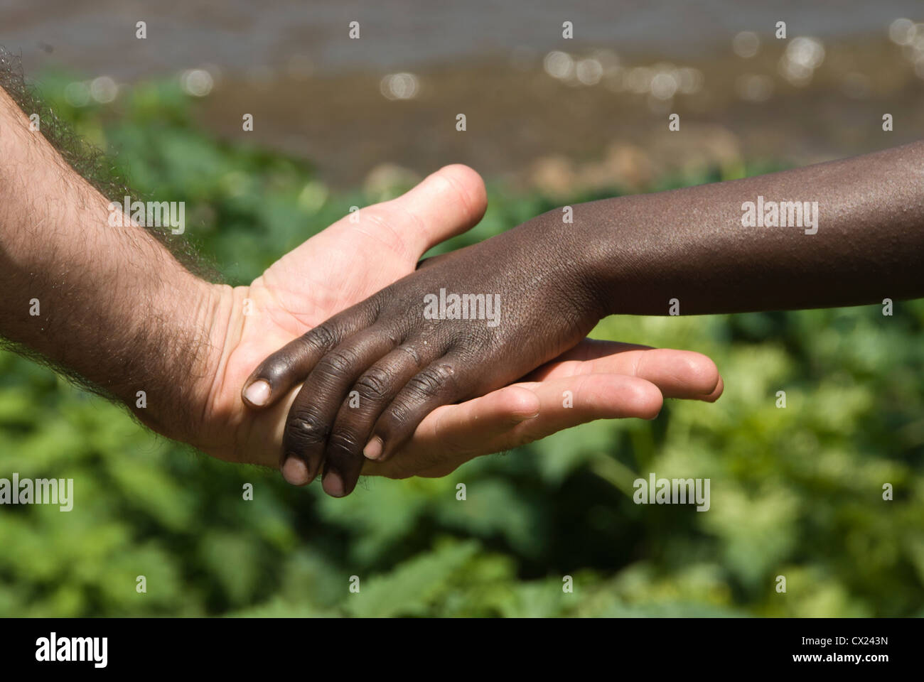 The view of a child's hand being held by the hand of an adult, Rwanda ...